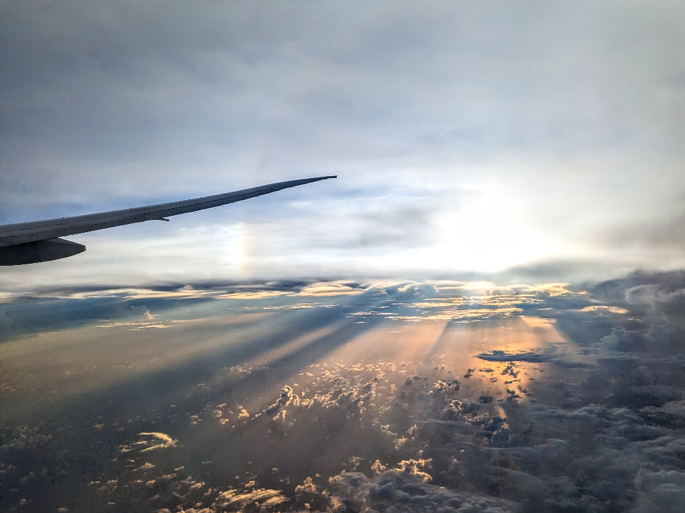 Les indispensables pour se préparer à un vol long courrier